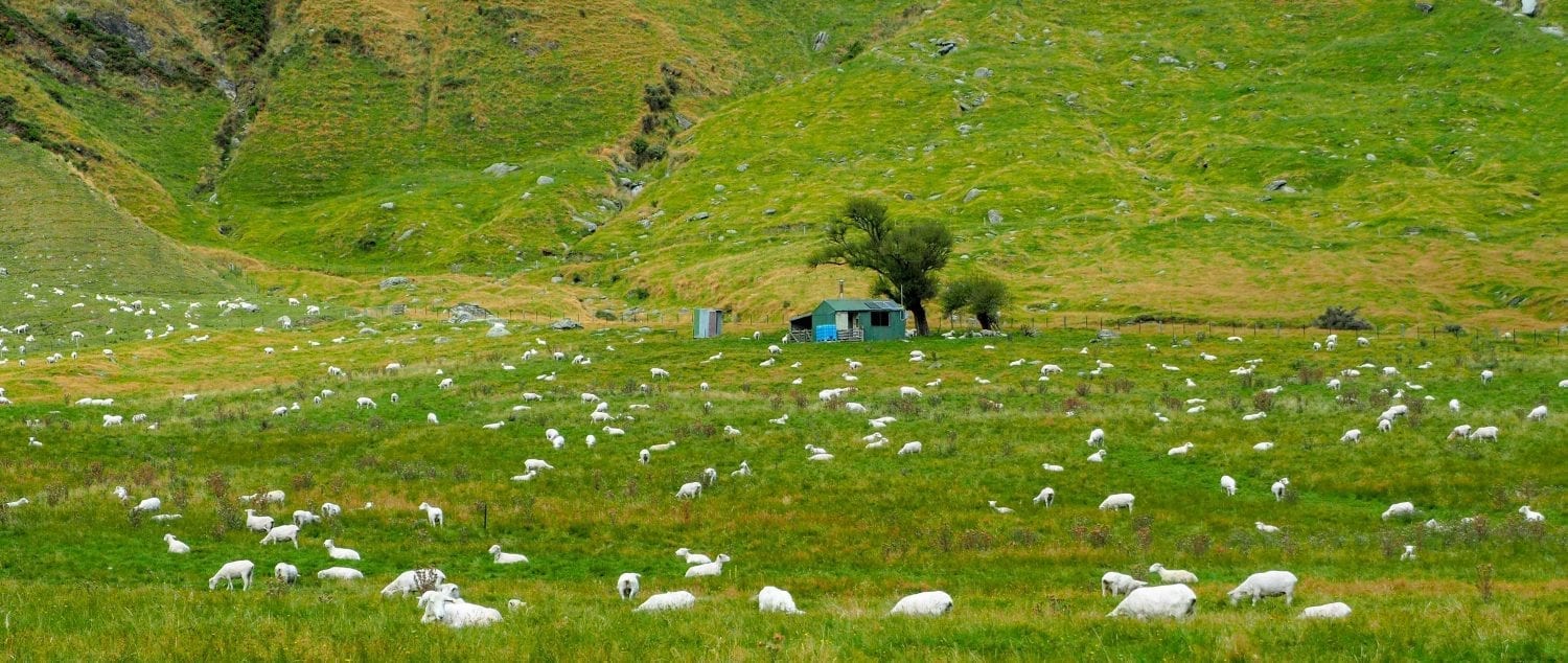 Māori New Zealand Tour from Auckland to Queenstown – Ride and Seek